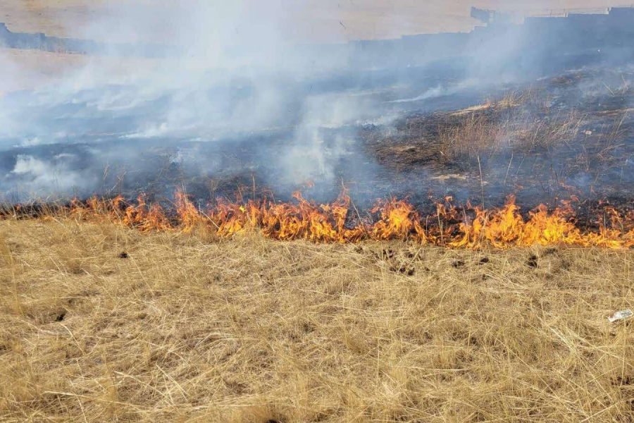 Сүхбаатар аймагт гарсан ой хээрийн түймрийг унтраалаа