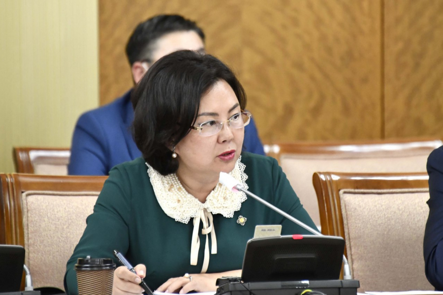 УИХ ын гишүүн С Одонтуяагаар ахлуулсан ажлын хэсэг УИХ ын тогтоолын