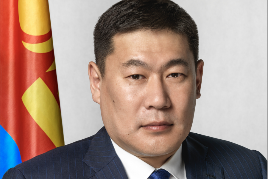 Л Оюун Эрдэнэ 2024 онд эдийн засгийн өсөлтийг өрх бүрийн хаалгаар
