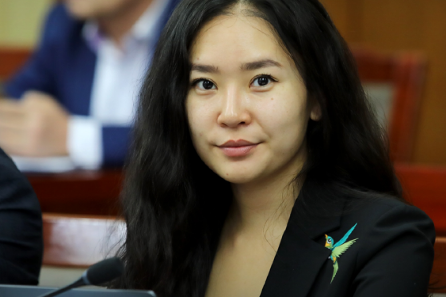 С Цэнгүүн Бид попролоор улсаа удирдуулаад байж болохгүй