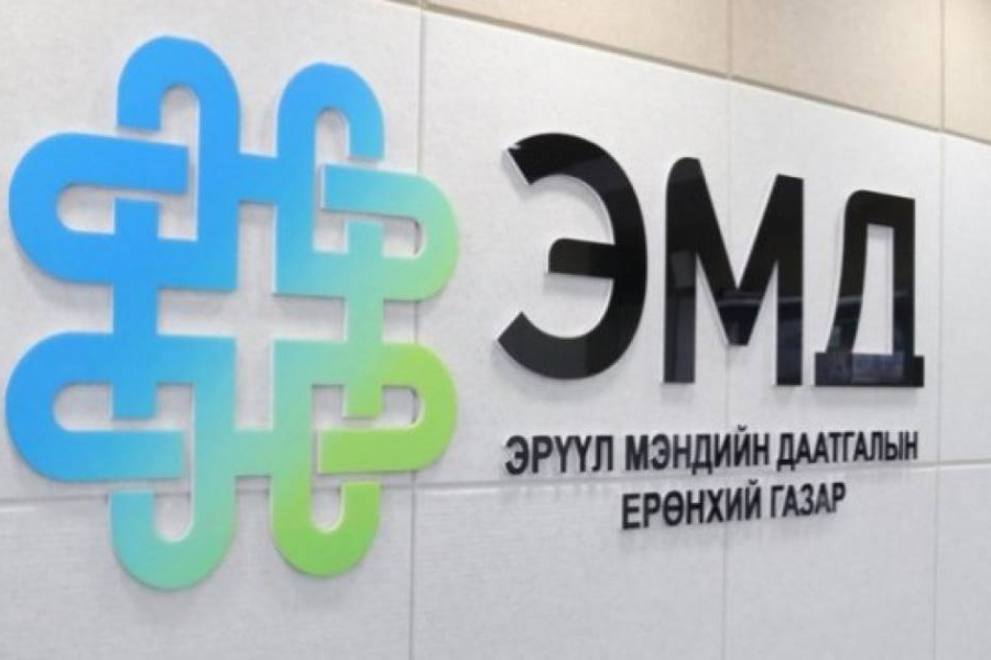 Бөөр шээсний замын хорт хавдрын тусламж үйлчилгээг ЭМД ын сан 100