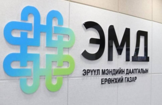 Бөөр шээсний замын хорт хавдрын тусламж үйлчилгээг ЭМД ын сан 100