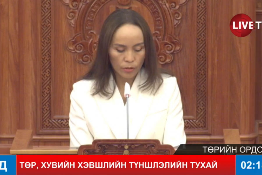 ЧУУЛГАН Төр хувийн хэвшлийн түншлэлийн тухай хуулийн төслийг хэлэлцэж