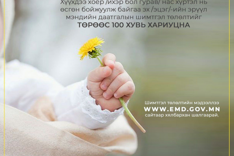 Хүүхдээ хоёр нас хүртэл харж байгаа эцэг эхийн ЭМД ын шимтгэл